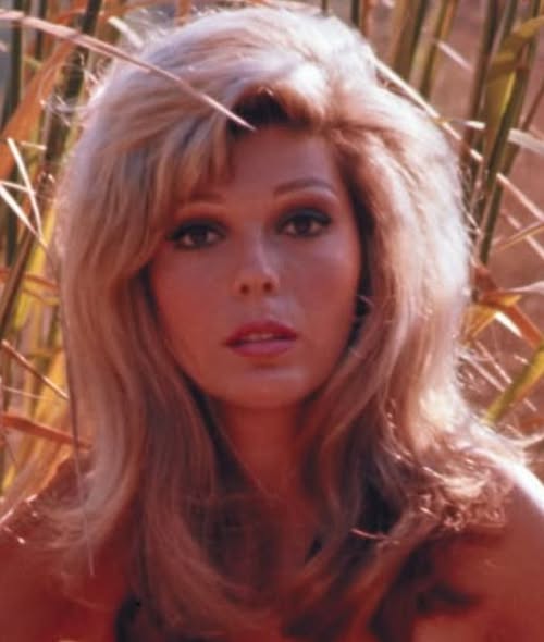 ️Nancy Sinatra is now 85 – try not to smile when you see her nowyou will be surprised…Photo’s in ...